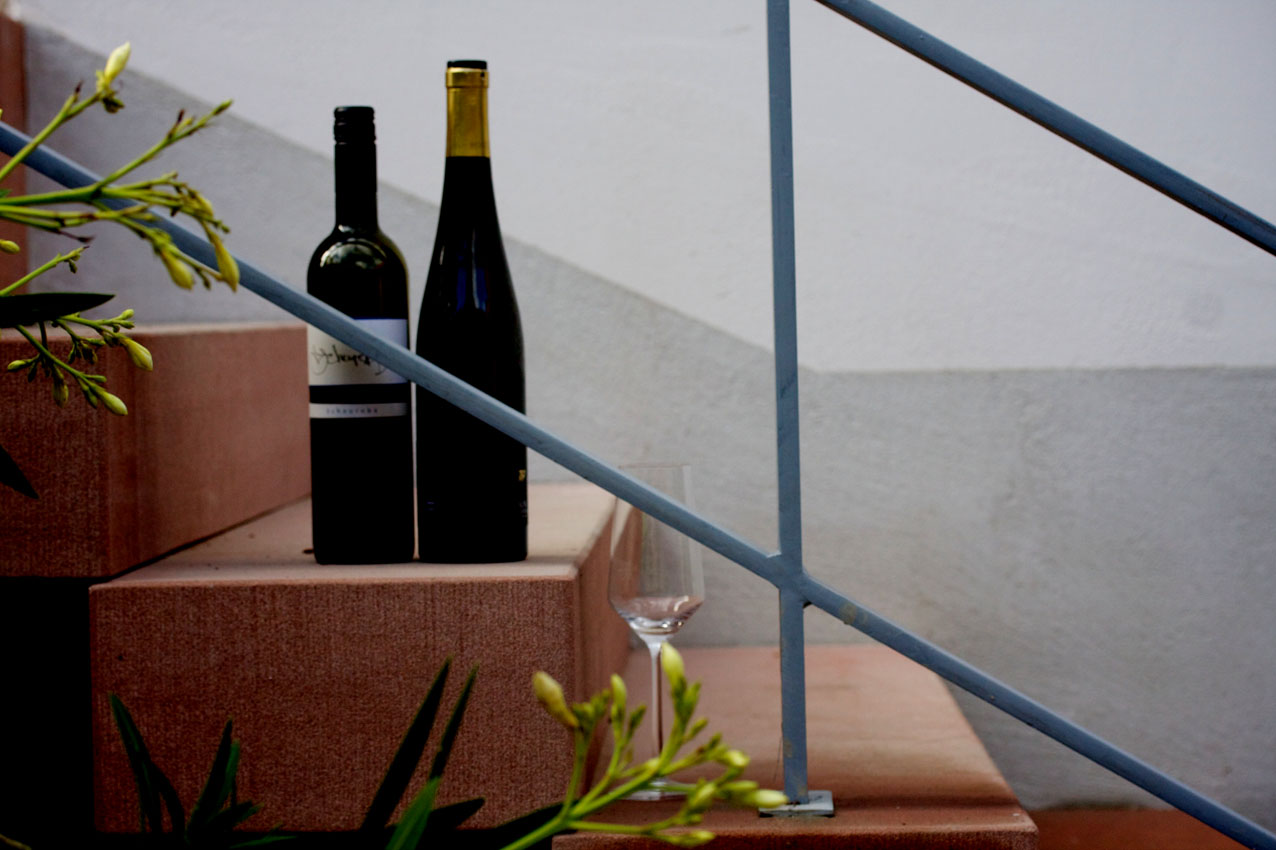 Urlaub in der Südpfalz | Julius in der Pfalz